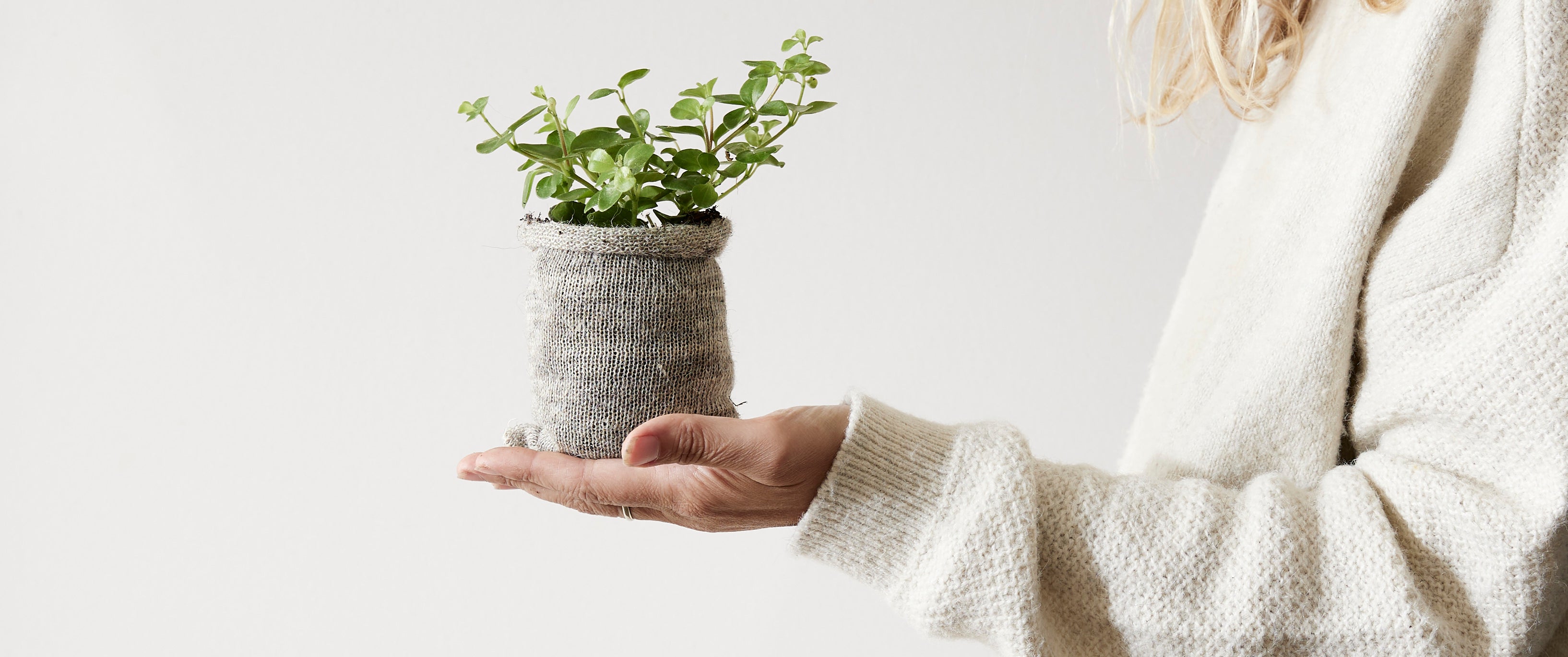 Eco-Friendly Wool Plant Pots | Sustainable Gardening Solutions - Wool ...