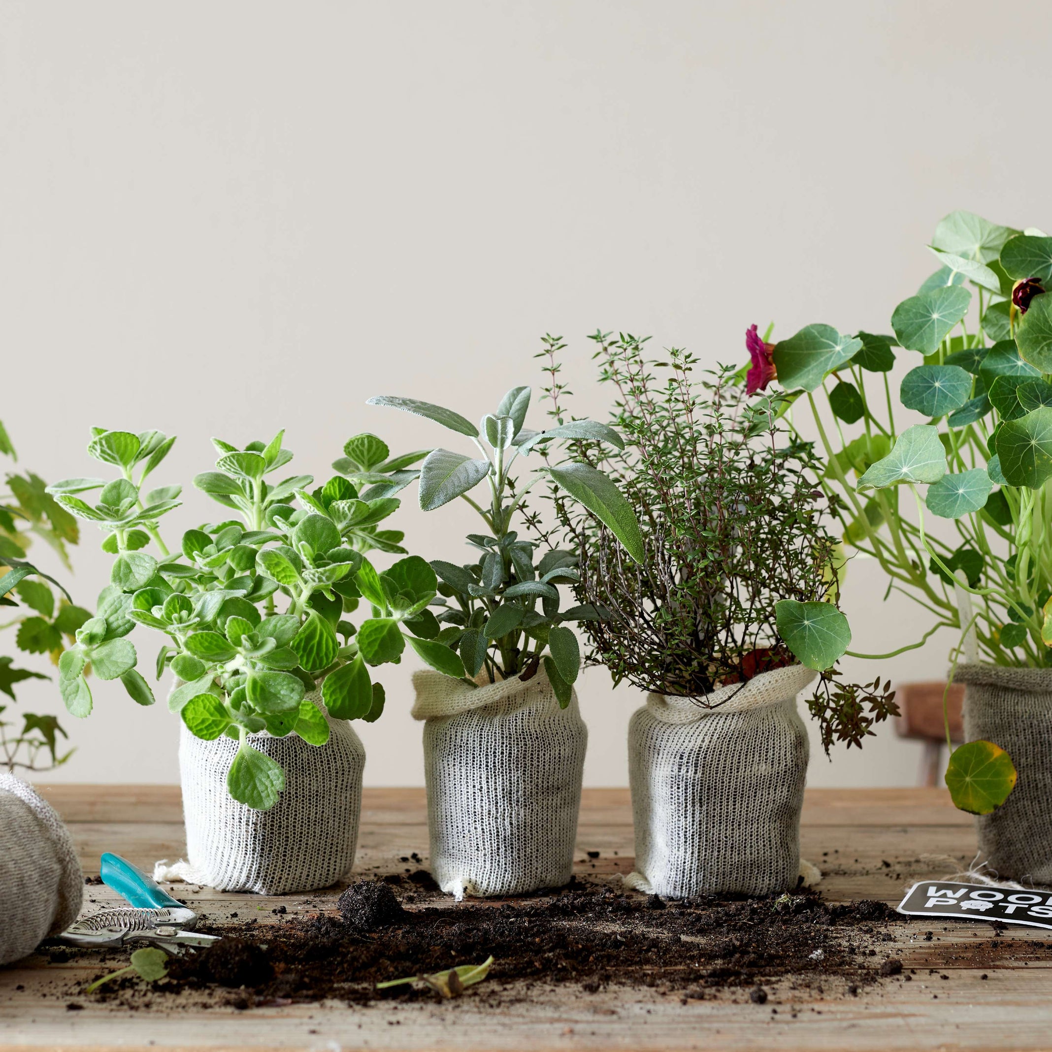 Eco-Friendly Wool Plant Pots | Sustainable Gardening Solutions - Wool ...