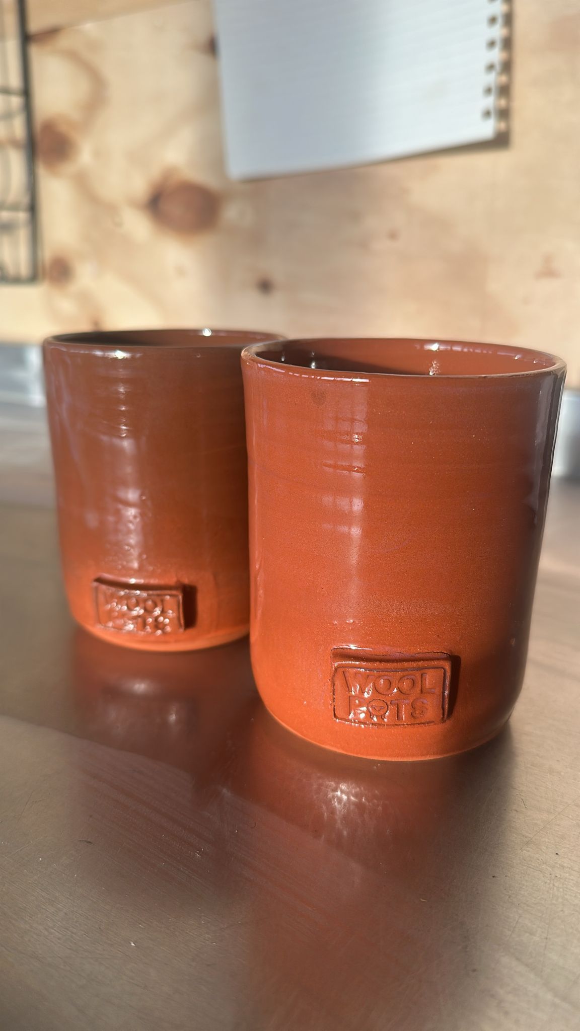 Eco-Friendly Wool Plant Pots | Sustainable Gardening Solutions - Wool ...